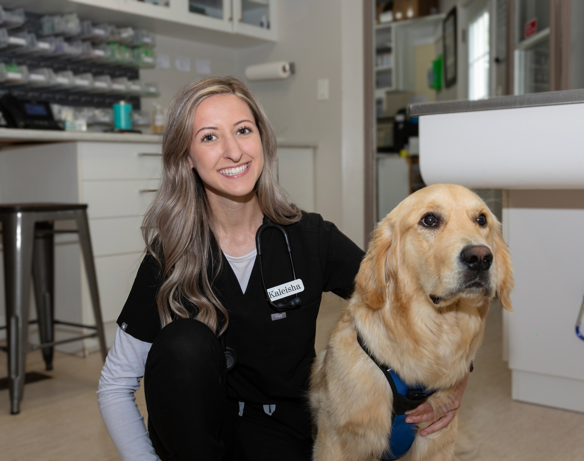 Home - Callander Animal Hospital and Wellness Centre