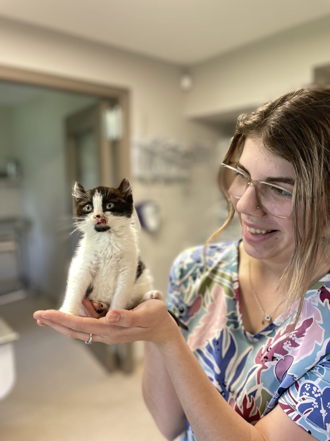 Home - Callander Animal Hospital and Wellness Centre