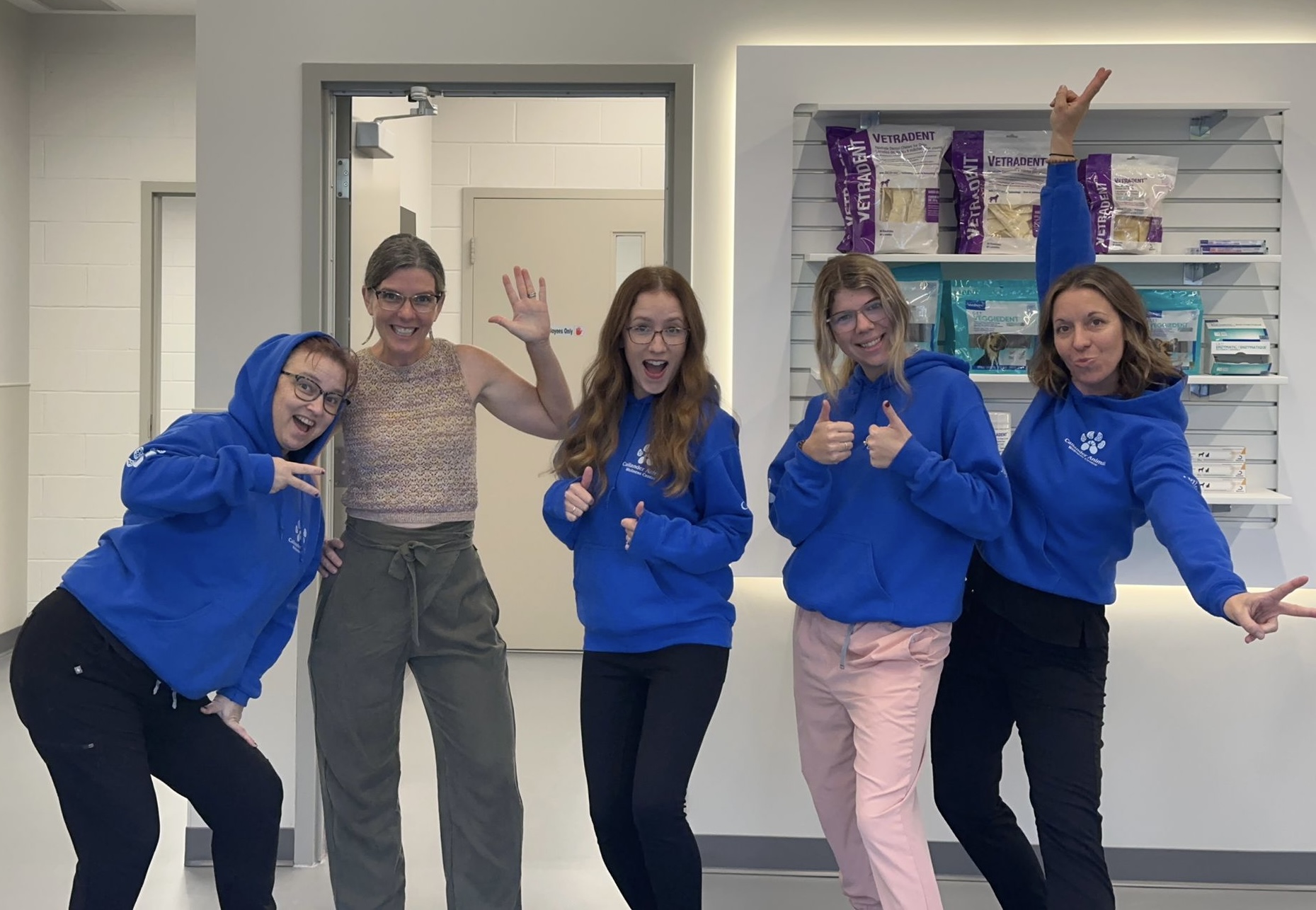 Home - Callander Animal Hospital and Wellness Centre